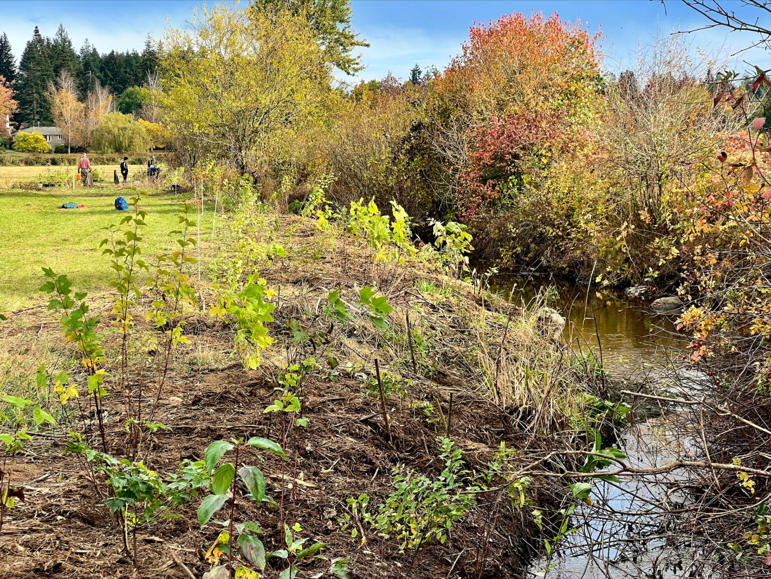 Tree Island Yogurt | Quality Delicious & Healthy Yogurt Brand Canada